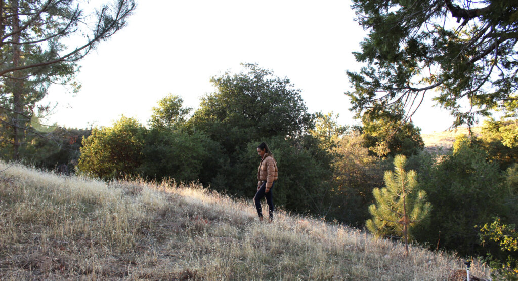 Taming the Wild: Site Sensitive Design in California’s Central Coast ...